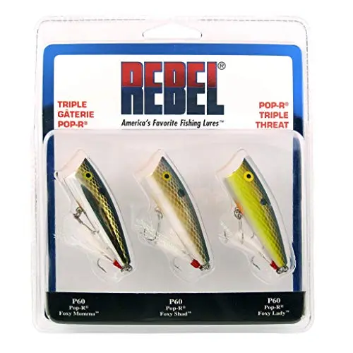 Best Popper Lures - 2026 Reviews - Bigg Fish Lures